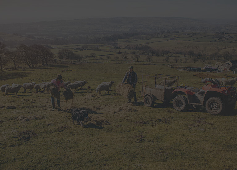 Livestock Products in the US & Canada